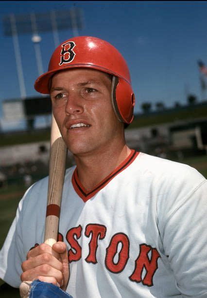 56 Boston Red Sox Ideas Boston Red Sox Red Sox Boston Red