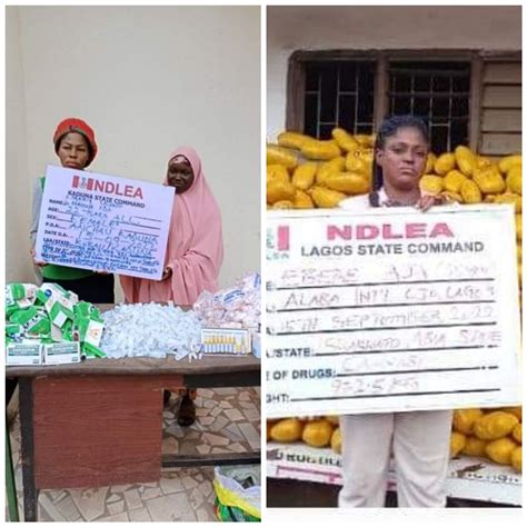 Three Women Arrested As Ndlea Intercepts 972 5kg Parcels Of Cannabis 721 Ampoules Of