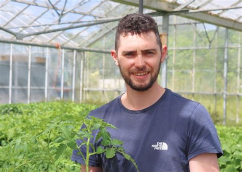 Hydrangea Macrophylla Expression Roots Plants