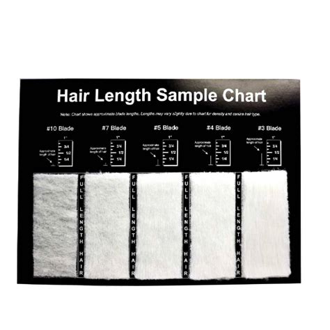 Unlock Grooming Mastery With Aeolus Hair Length Sample Chart Shop Now Abk Grooming