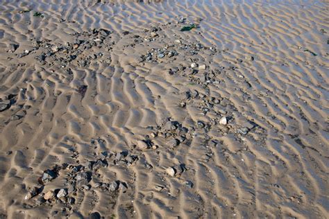 Uk Fossil Collecting