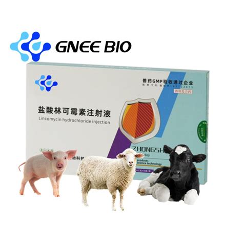 Lincomycin Hydrochloride Injection For Veterinary Effective Against Bacterial Infections News