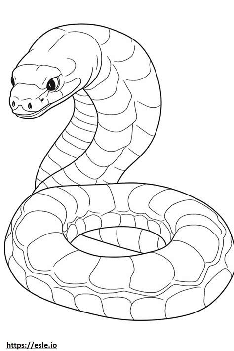 Ball Python Cute Coloring Page