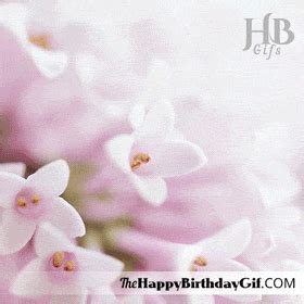 Happy Birthday Daughter  4 The Happy Birthday S