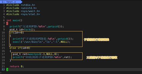 【linux手册】进程替换：从fork到exec揭秘进程替换的全流程 fork exec实现进程替换 csdn博客