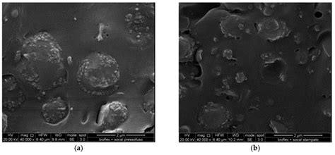 A Sem Fracture Surfaces Of Bs Cm Sample B Sem Fracture Surfaces