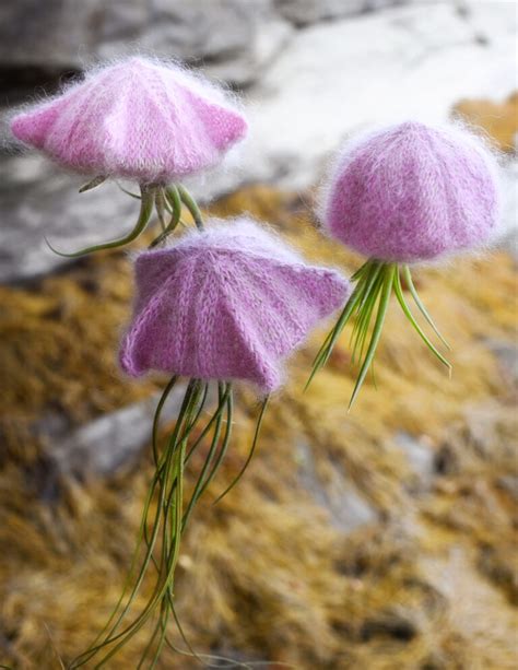 Patterns Tiny Nonsense Patterns Tiny Nonsense