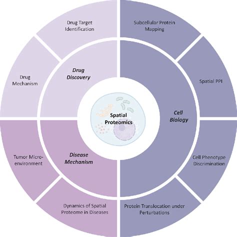 Summary Of Ml Aided Spatial Proteomics Applications Download