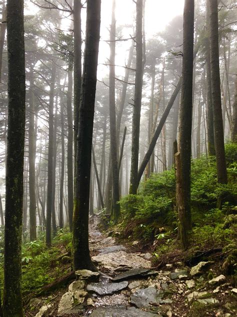 1599 Best Appalachian Images On Pholder Earth Porn Hiking And