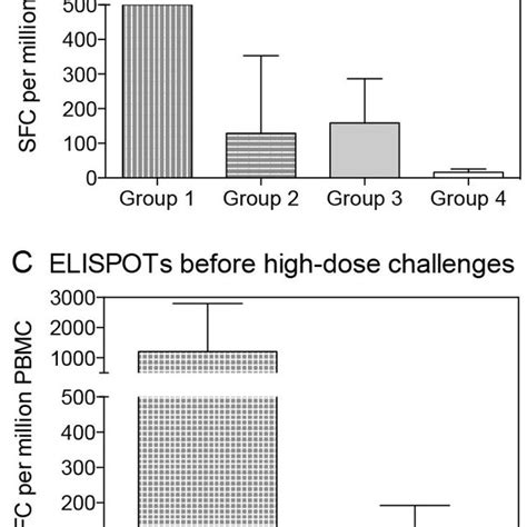 Cellular Responses And T Cell Activation Siv Gag Specific