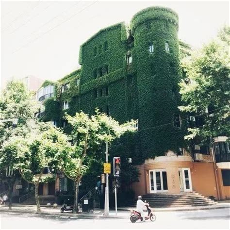 Yongjia Road A Chic Shanghai Street Worth Exploring For Elegance