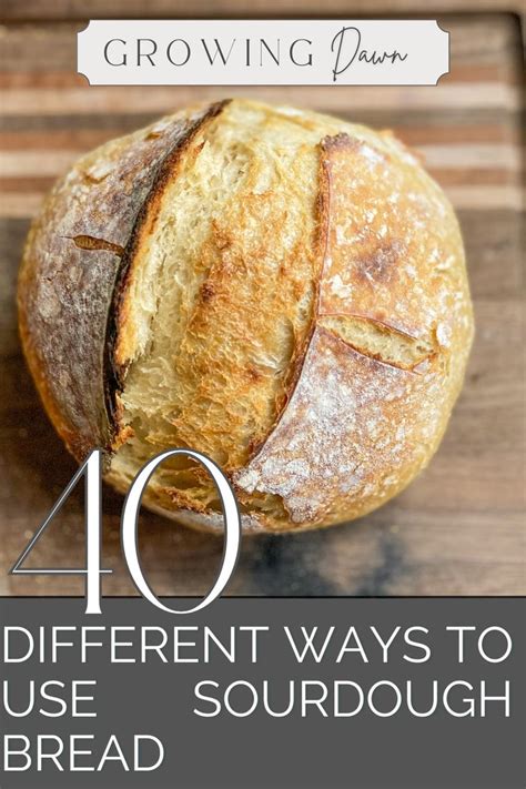 40 Ways To Use And Eat Sourdough Bread Homemade Sourdough Bread