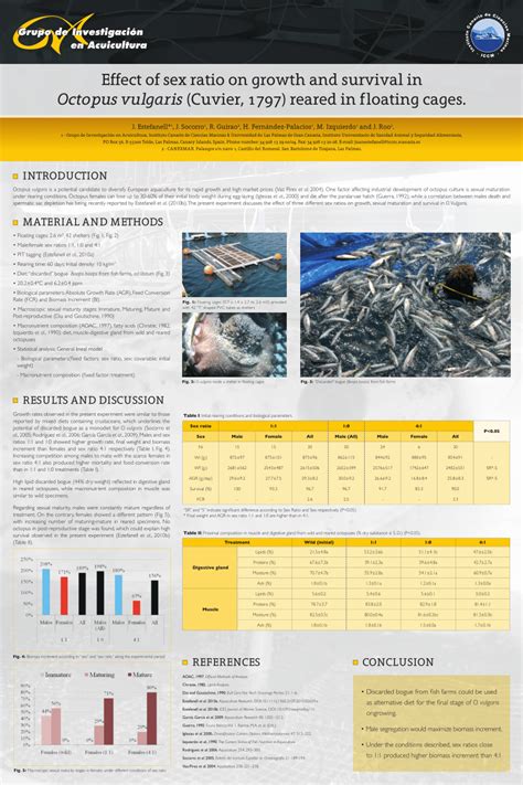 Pdf Effect Of Sex Ratio On Growth And Survival In Octopus Vulgaris Cuvier 1797 Reared In