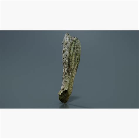 Crack Bark 3d Model Download Landscapes On