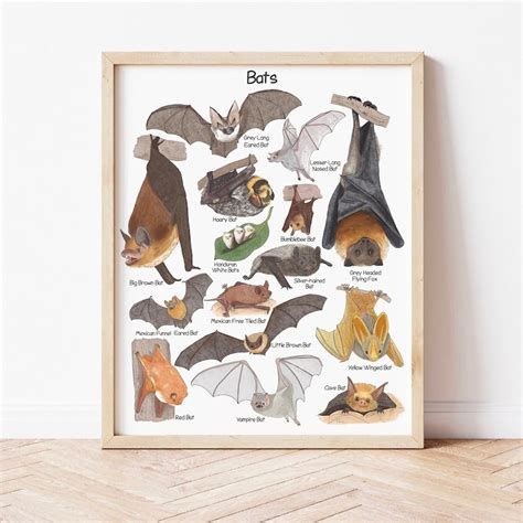 Printable Bats Poster Etsy