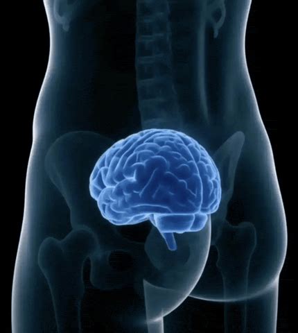 Brain Meme Brain Discover And Share S