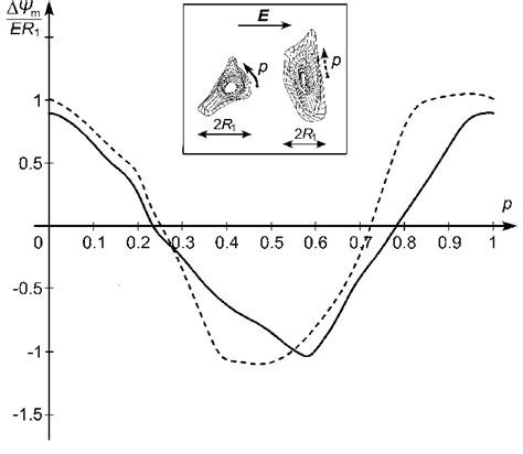 Normalized Steady State Dw M P As Computed Numerically For Two