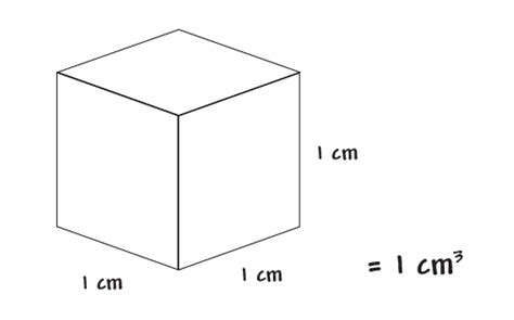 Standard Units Of Measurement
