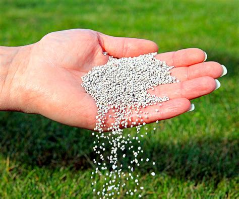 All About Fertilizer A Complete Guide To Feeding Plants Gardening