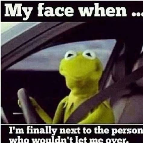 My Face When Meme Kermit