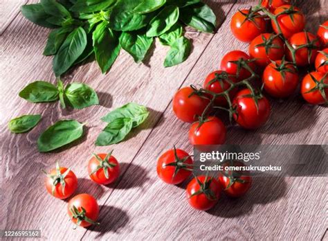 Small Tomatoes Photos And Premium High Res Pictures Getty Images