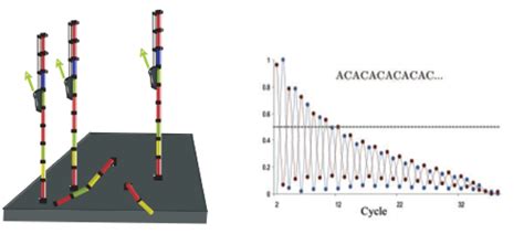 quality control assessing fastqc results introduction to rna seq