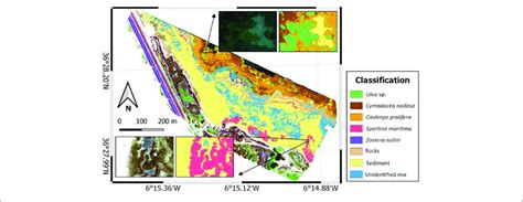 Spectral Angle Classifier Trained Using Image Derived Spectra Download Scientific Diagram