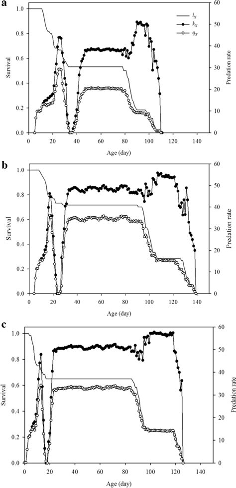 Age Specific Survival Rate Lx Predation Rate Kx And Age Specific