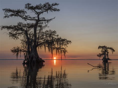 Louisiana Landscape Photography The Heart Of Louisiana