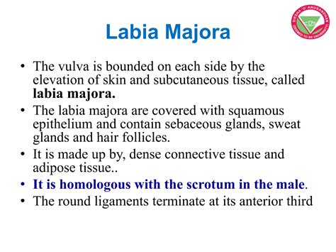 Anatomy And Physiology Of Female Reproductive System Pptx