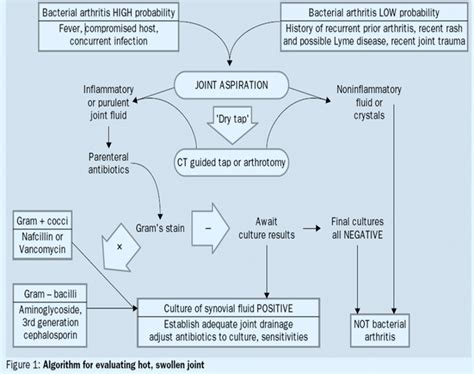 Septic Infectious Arthritis Physiopedia Septic Infectious Arthritis Physiopedia