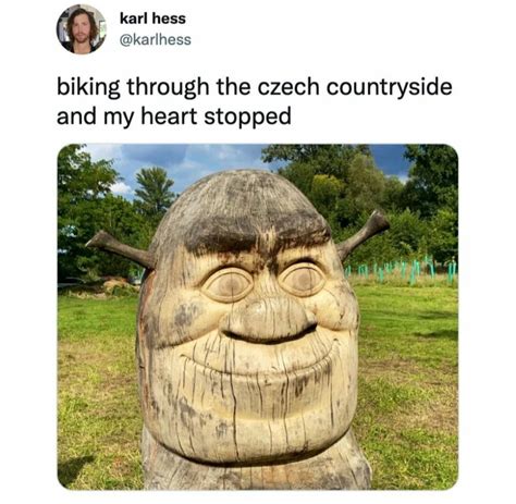 Wooden Mshrek 2500 Hp “get Out Of My Forest” Rbossfight