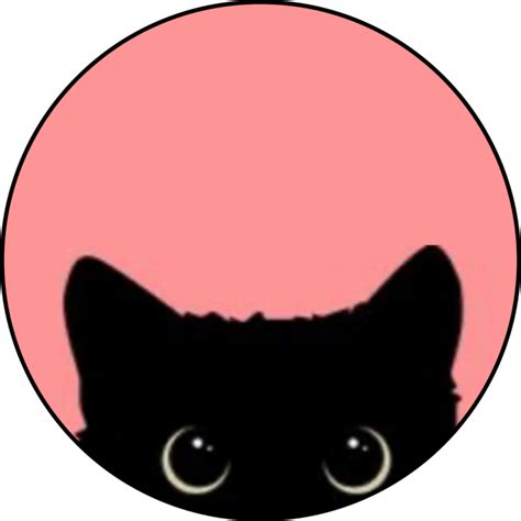 What To Do With Empty Cat Litter Jugs 25 Creative Reuse Ideas