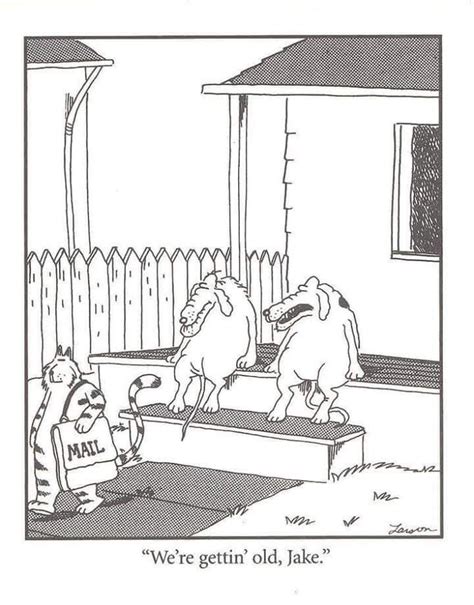 Pin Von Michelle Johnson Auf Gary Larson Karikaturen