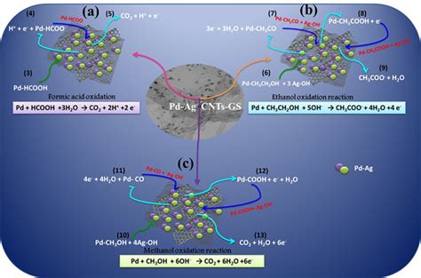 A Formic Acid Oxidation B Ethanol Oxidation And C Methanol
