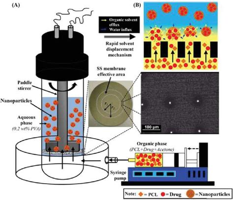 6 A A Schematic Diagram Of The Dispersion Cell Device With A