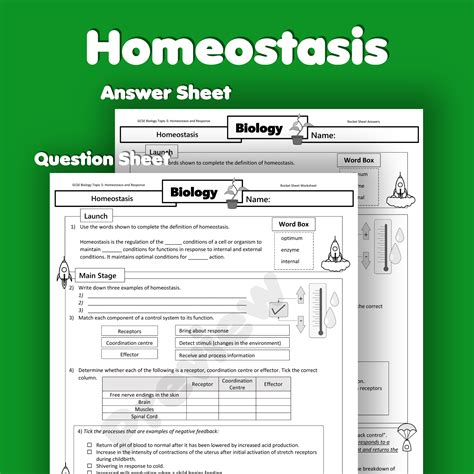 Homeostasis Graph Worksheet Answers Adriansonfifth