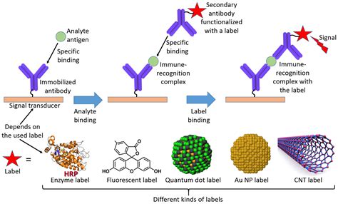 Biosensors Electrochemical Devices—general Concepts And Performance