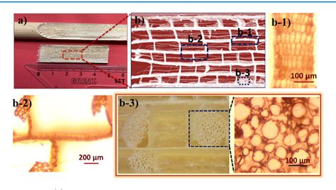 Figure 1 From Biomass Hierarchical Porous Carbonized Typha Angustifolia