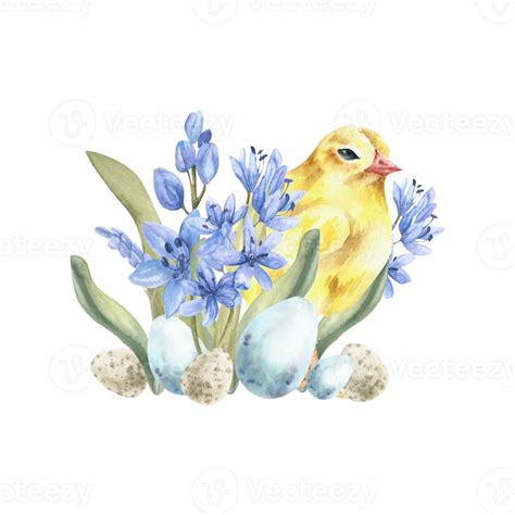 Watercolor Happy Easter Composition With Yellow Chicken First Spring Blue Pale Flowers And Eggs