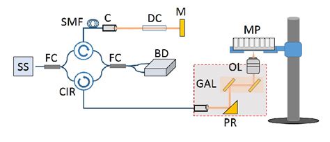 Illustration Of The Ss Oct Setup With An Inverted Scanning Head Ss