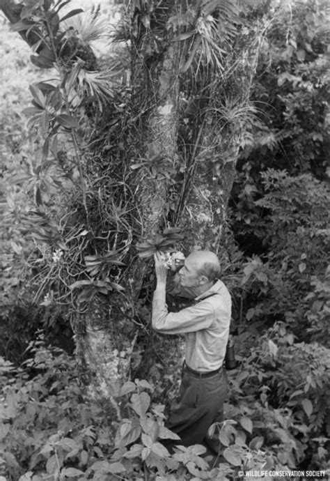 William Beebes 142nd Birthday Instagram Wcs Archives Blog