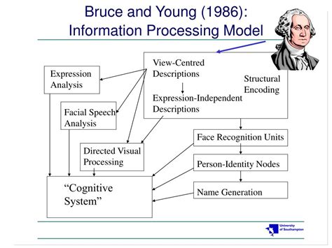 Ppt Connectionist Modelling Powerpoint Presentation Free Download Id4631000