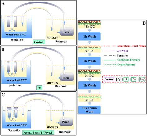 Schematic Representation Of The Bioreactor And The Used Download Scientific Diagram