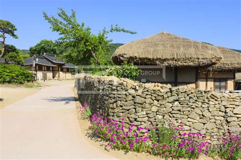 한국의 전통 민속 마을 게울박쥐 사진 한국 전통 마을 초가집 집 고향 그리움 들판 풍경 돌담 기와집 꽃
