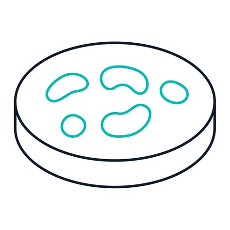 Recombinant Laminin 521 Product Catalog For Stem Cell Culture Kactus