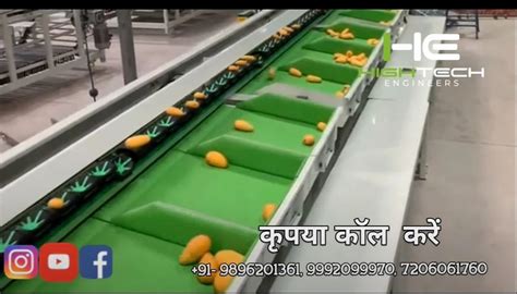 Automatic Mango Grading Machine 8000 Kghr At Best Price In Ambala Id 2854213919491