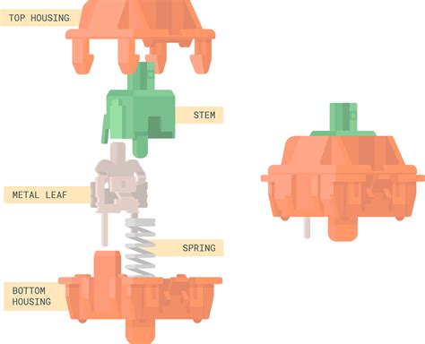Switch Anatomy Keyboard University
