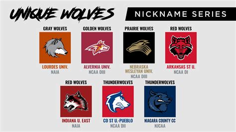 College Wolf Logo