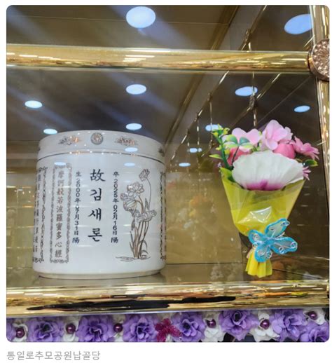 故김새론 절친 이수현 선배 하림 위로에 화답소중한 추억에 감사